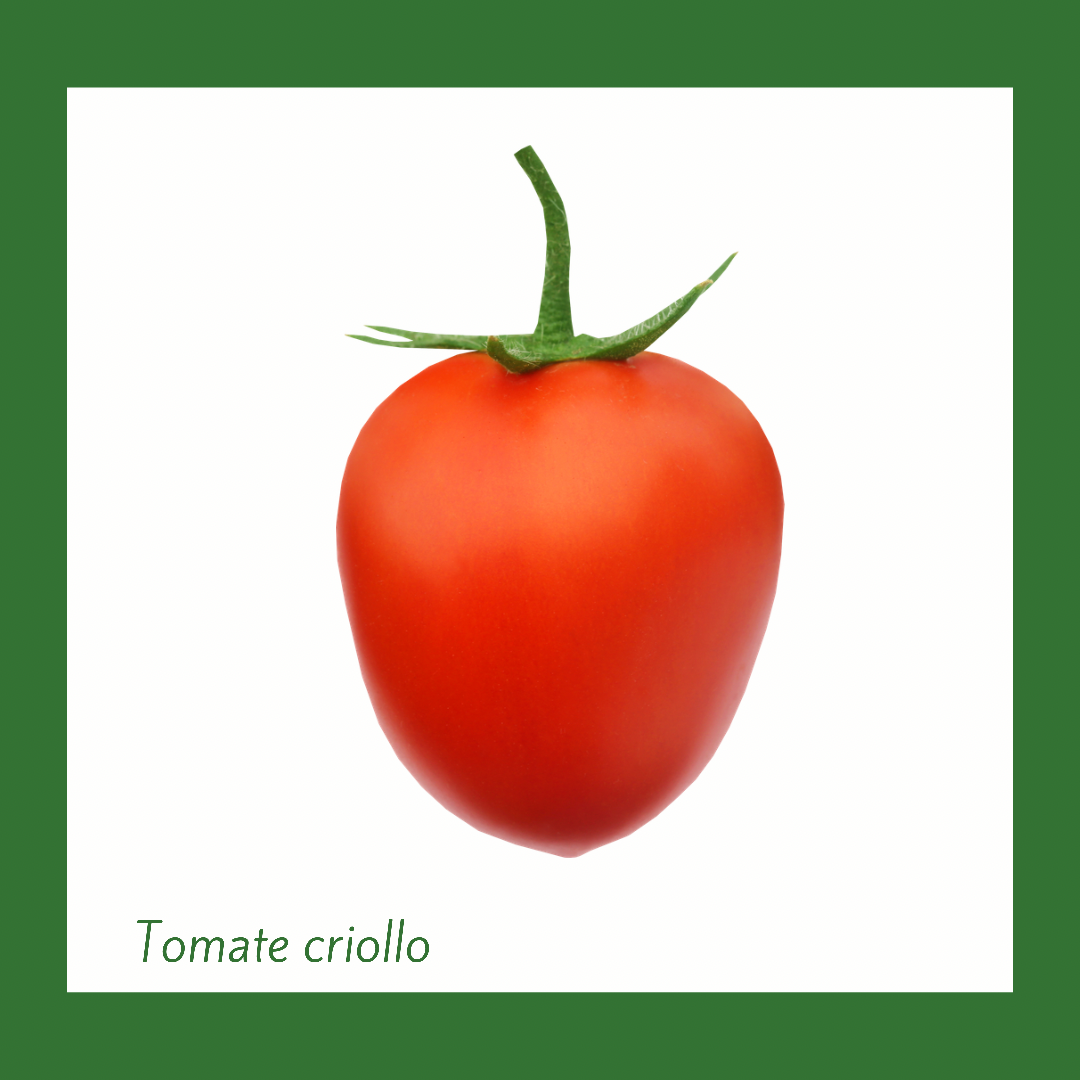 Tomate Criollo (1 Libra)