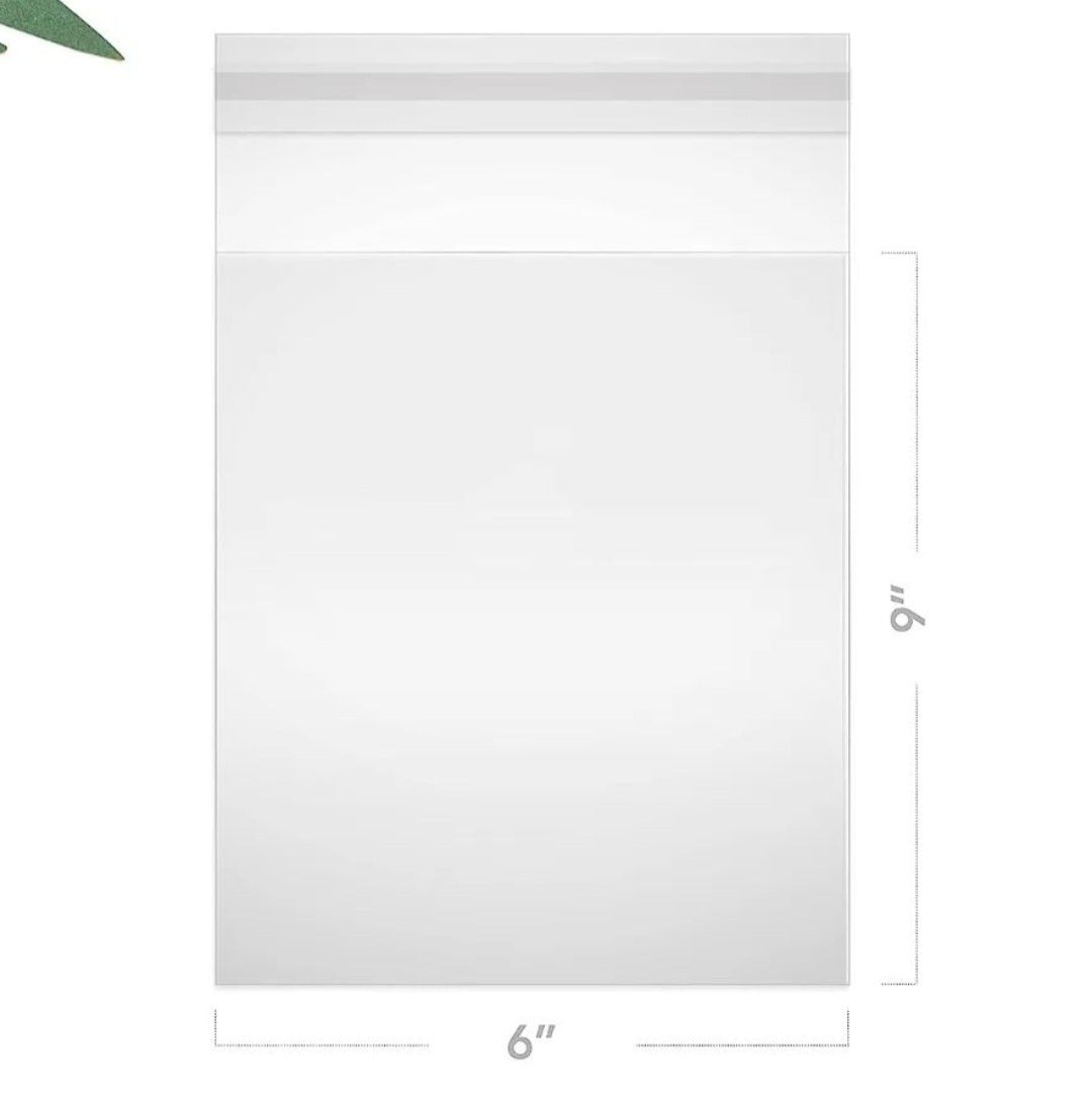 6X9 Clear Self Seal Bag